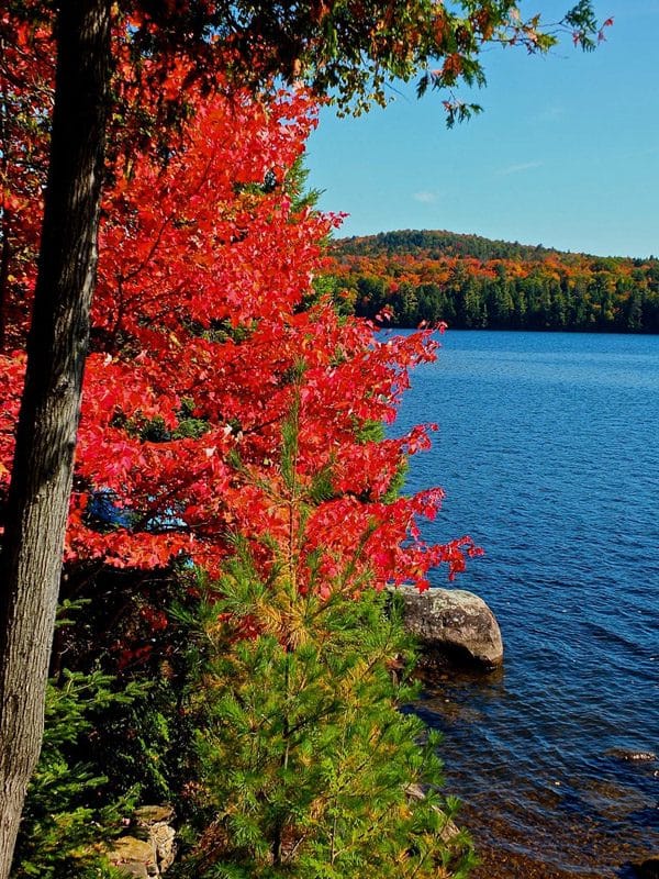 Gallery • Dorset Ontario Directory Of Tourism Attractions, Resort ...