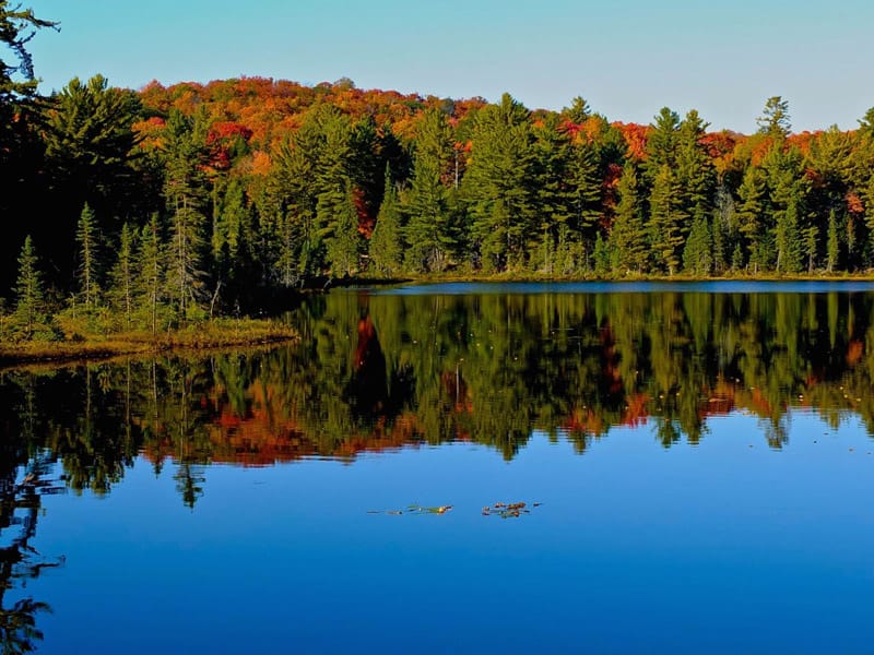 Gallery • Dorset Ontario Directory Of Tourism Attractions, Resort ...